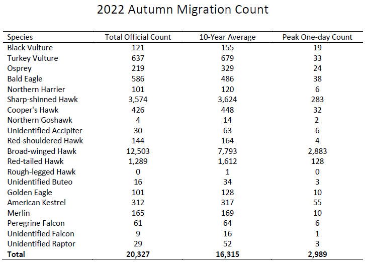 Autumn 2022 Migration Wrap Up | Hawk Mountain Sanctuary: Learn Visit Join