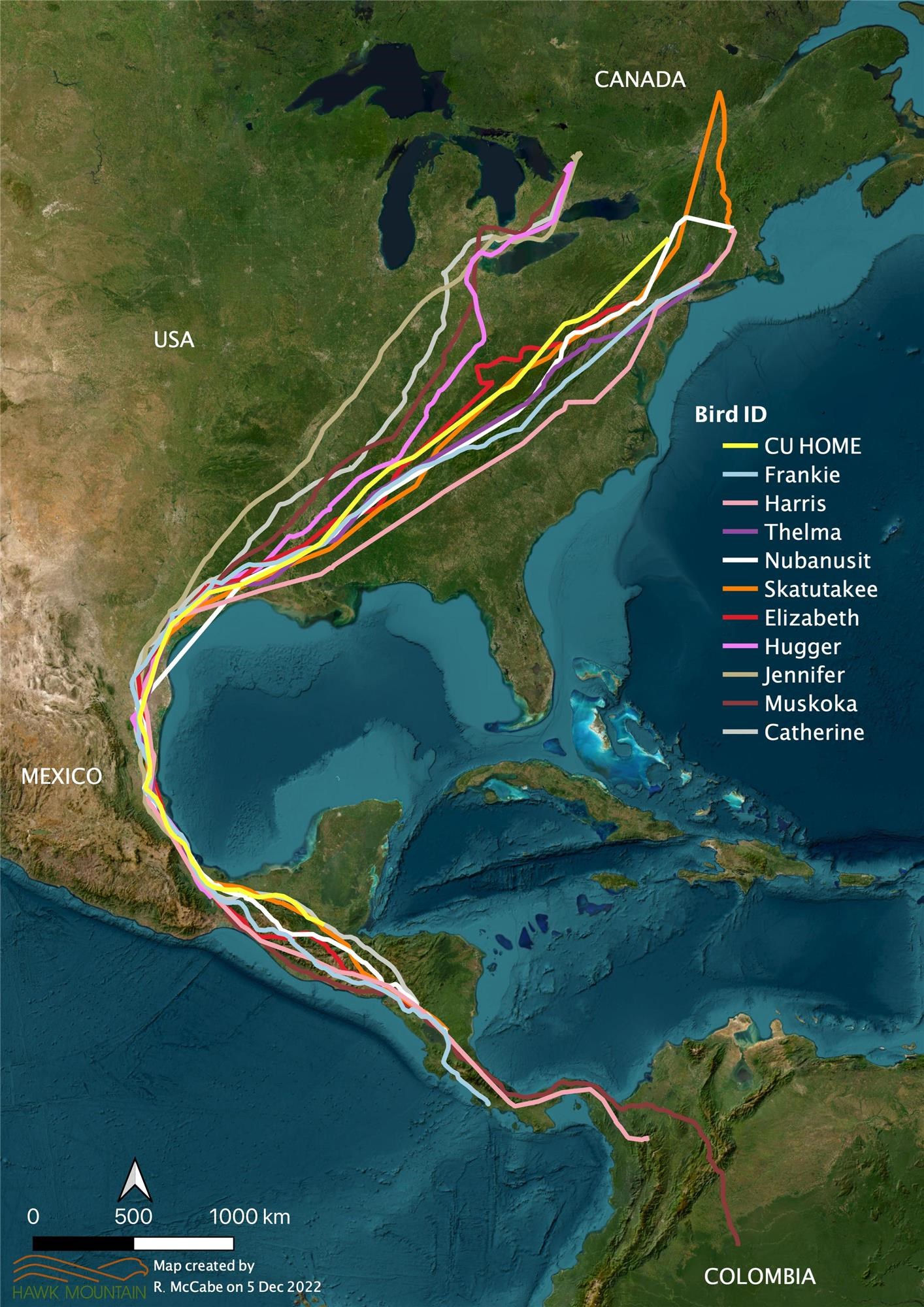 Autumn 2022 Migration Wrap Up | Hawk Mountain Sanctuary: Learn Visit Join