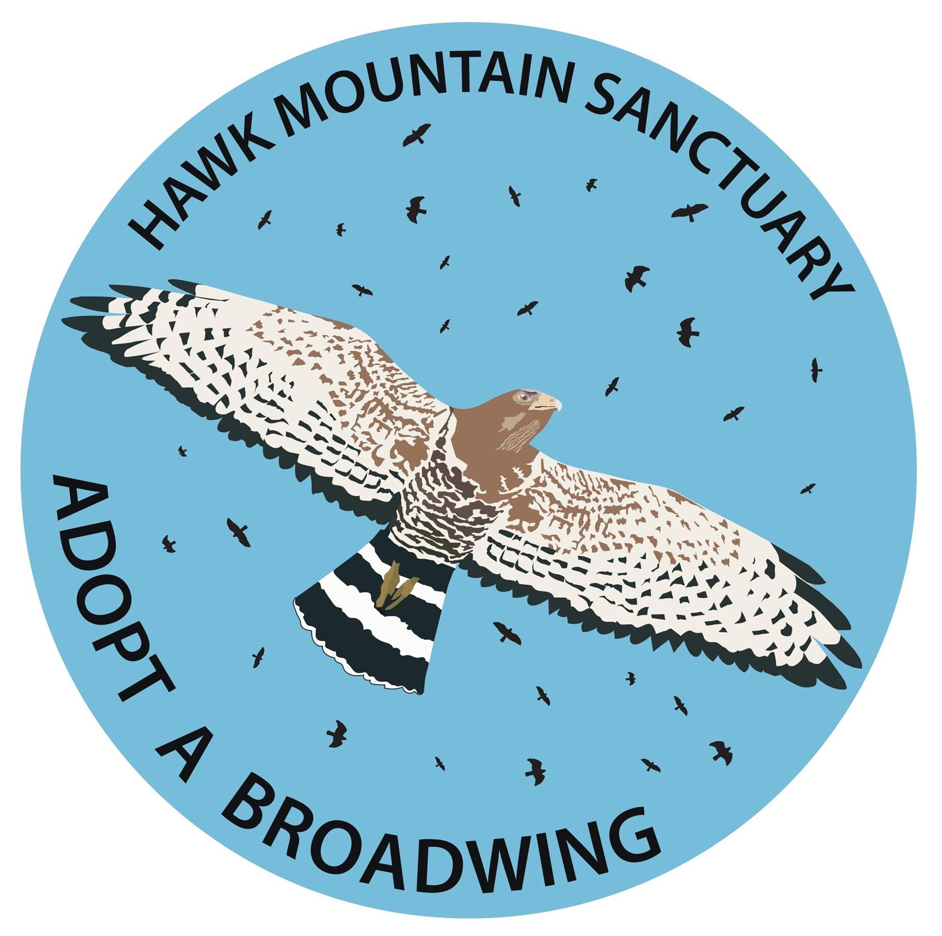 Adopt a Broadwing | Hawk Mountain Sanctuary: Learn Visit Join