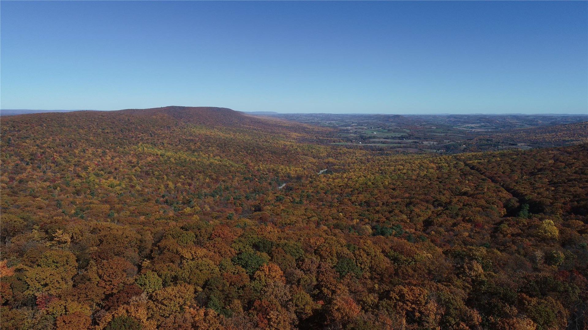 Seasonal Sanctuary Stewards Make a Difference | Hawk Mountain Sanctuary ...