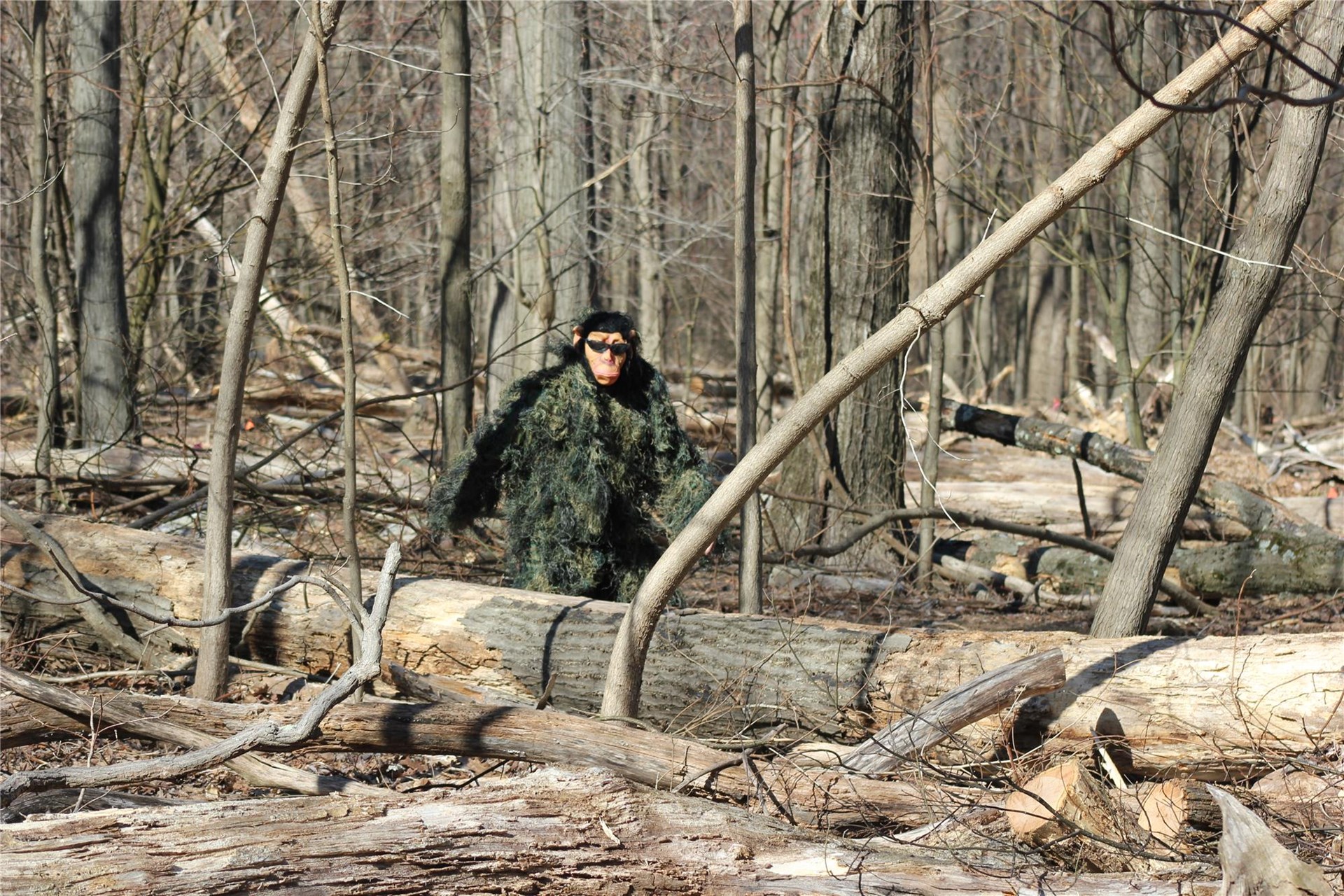 POSSIBLE BIGFOOT SIGHTING AT HAWK MOUNTAIN | Hawk Mountain Sanctuary: Learn Visit Join