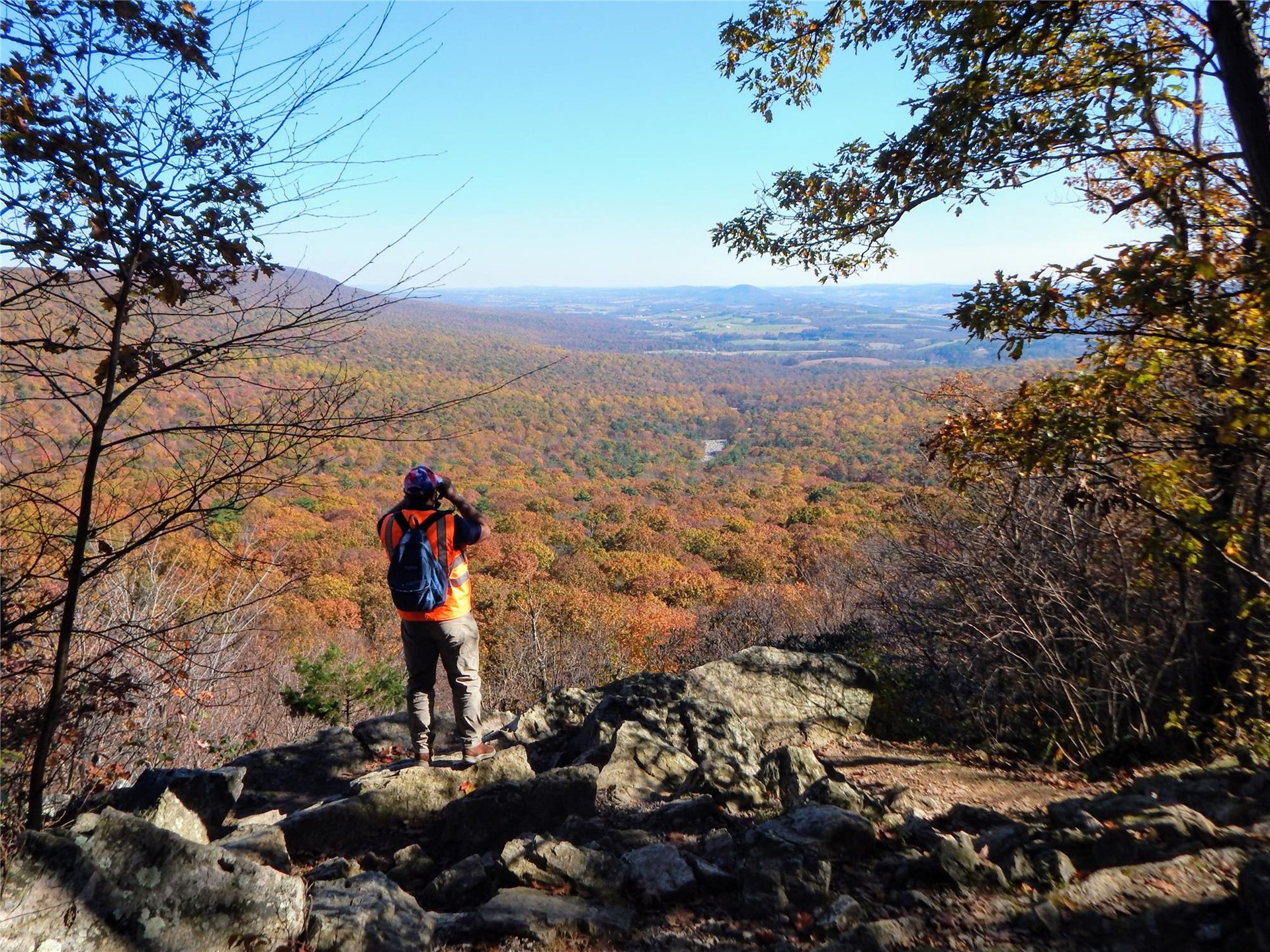 Fall 2021 Photo Contest Winners Announced | Hawk Mountain Sanctuary ...