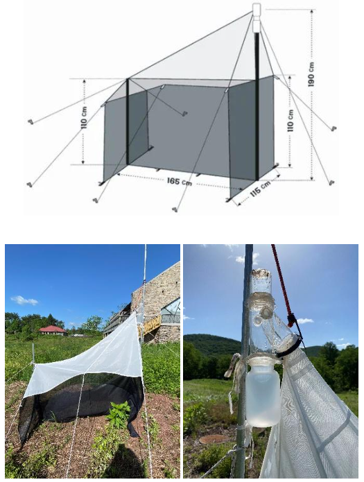 Flying Insect Sampling at the Acopian Center | Hawk Mountain Sanctuary ...