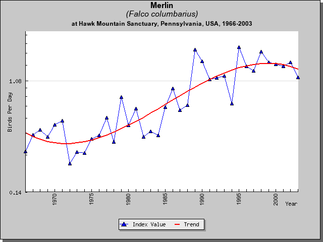 Merlin | Hawk Mountain Sanctuary: Learn Visit Join