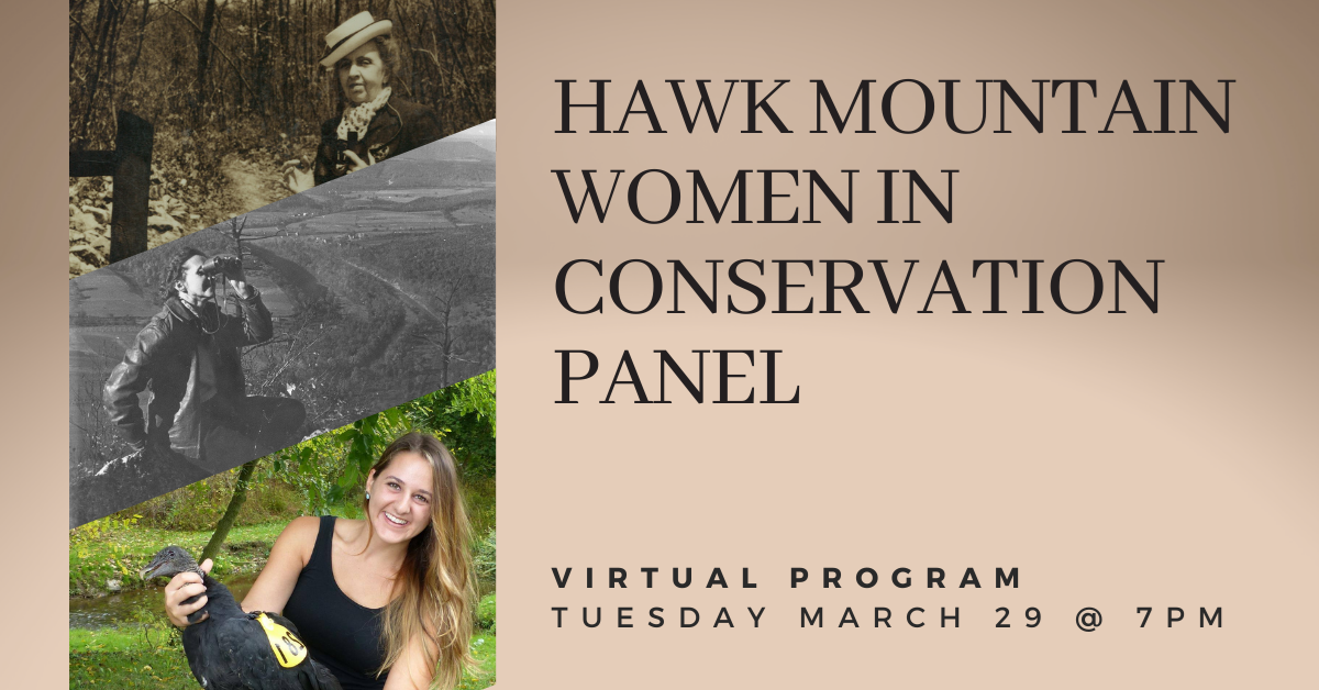 Celebrate Women in Conservation at Hawk Mountain with Upcoming Free ...