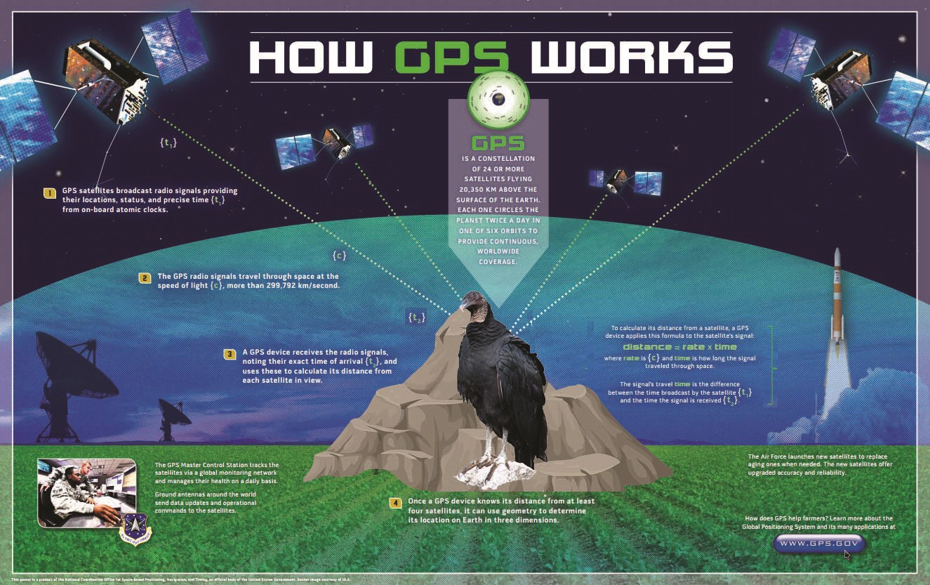 Why satellite tracking? | Hawk Mountain Sanctuary: Learn Visit Join