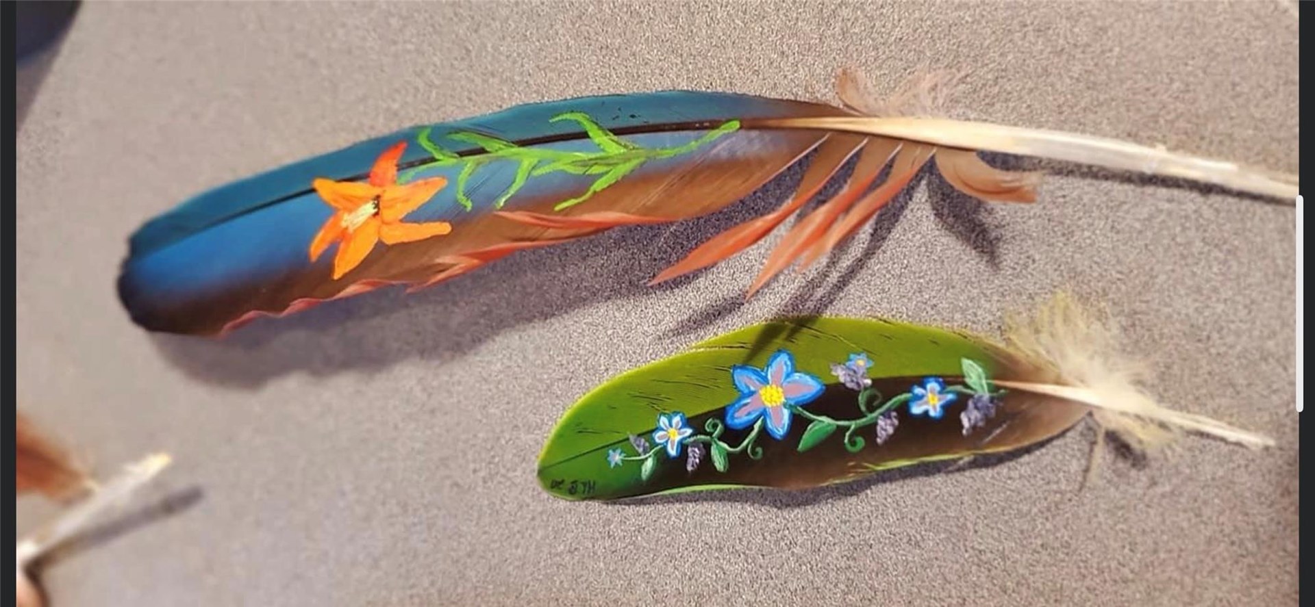 Events | Hawk Mountain Sanctuary: Learn Visit Join