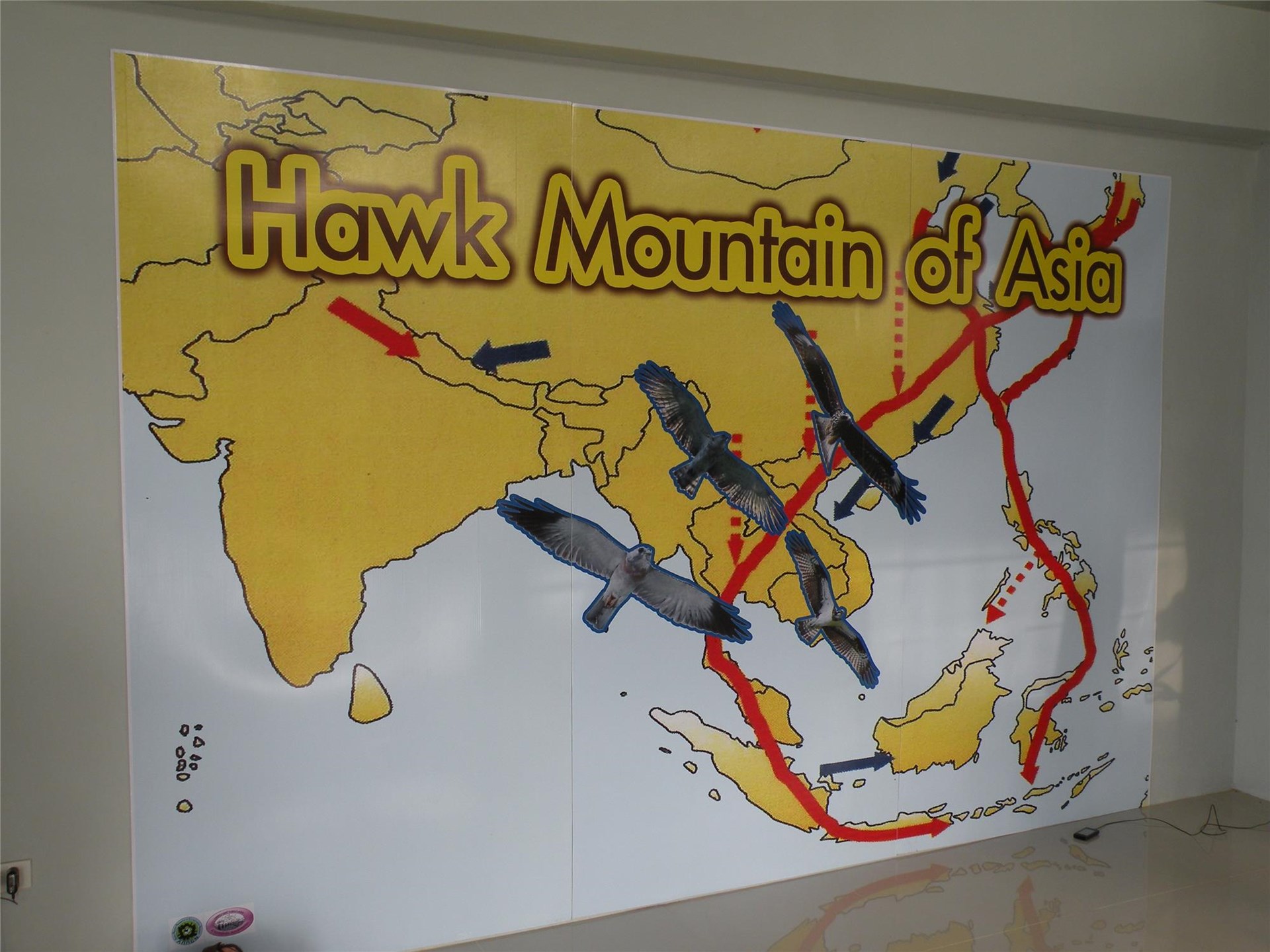 First raptor center in all of Asia opens | Hawk Mountain Sanctuary ...