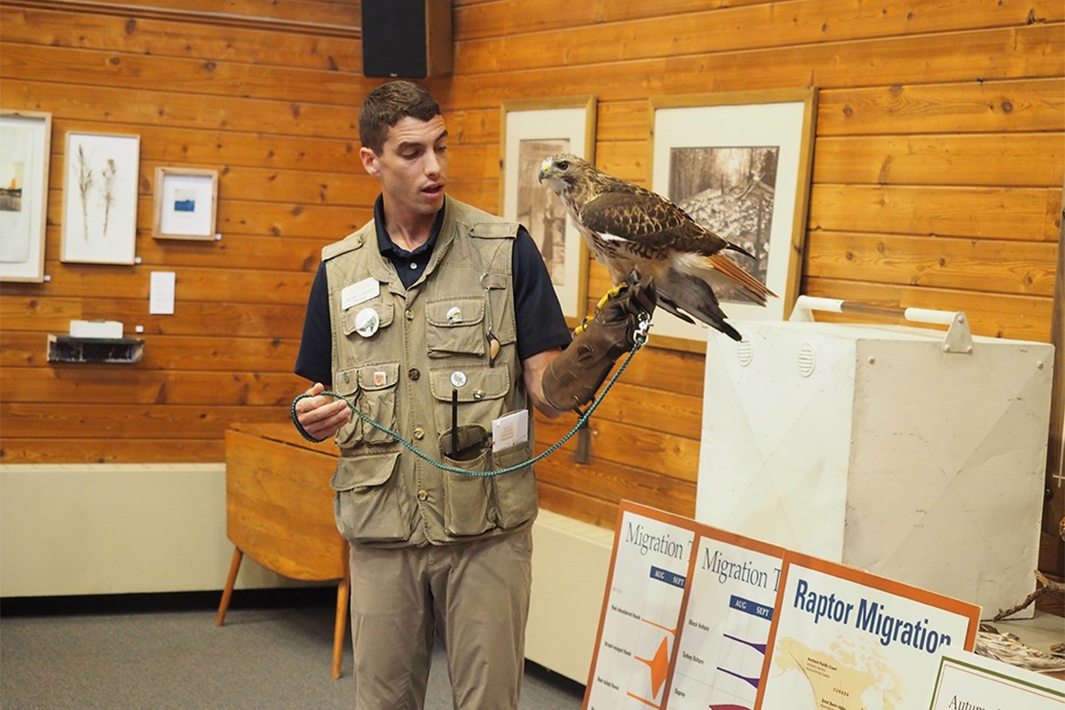 Visit Hawk Mountain | Hawk Mountain Sanctuary: Learn Visit Join