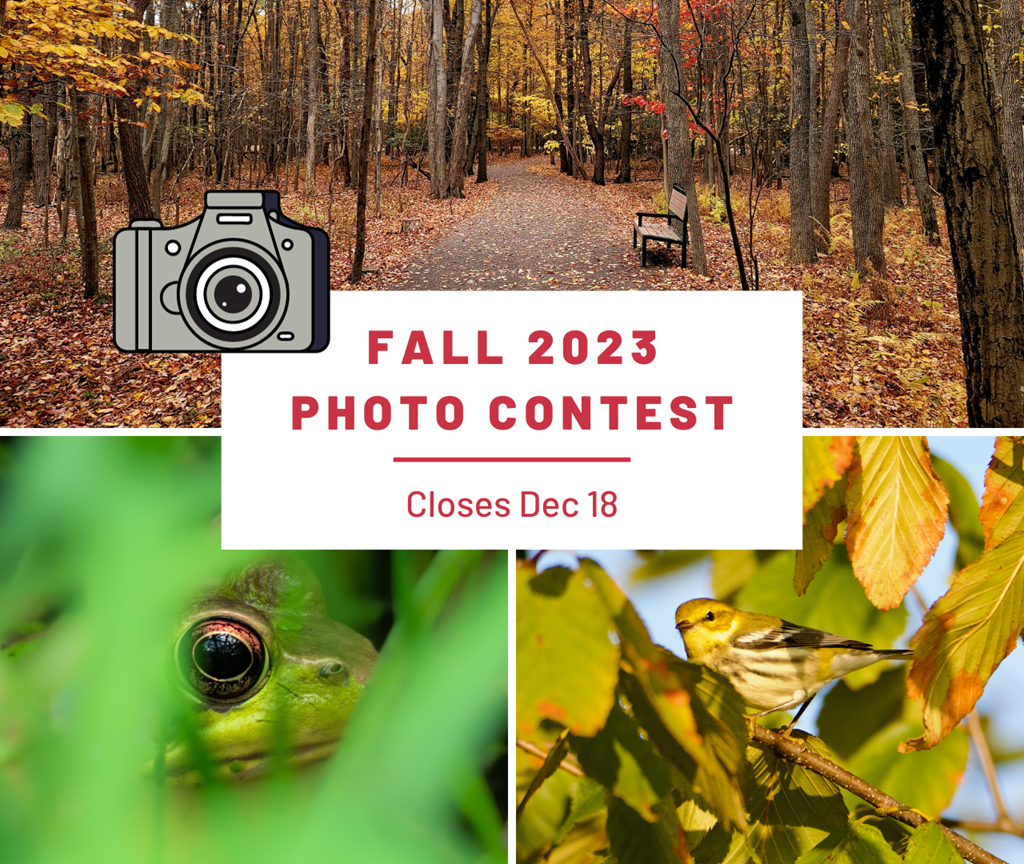 Fall Photo Contest | Hawk Mountain Sanctuary: Learn Visit Join