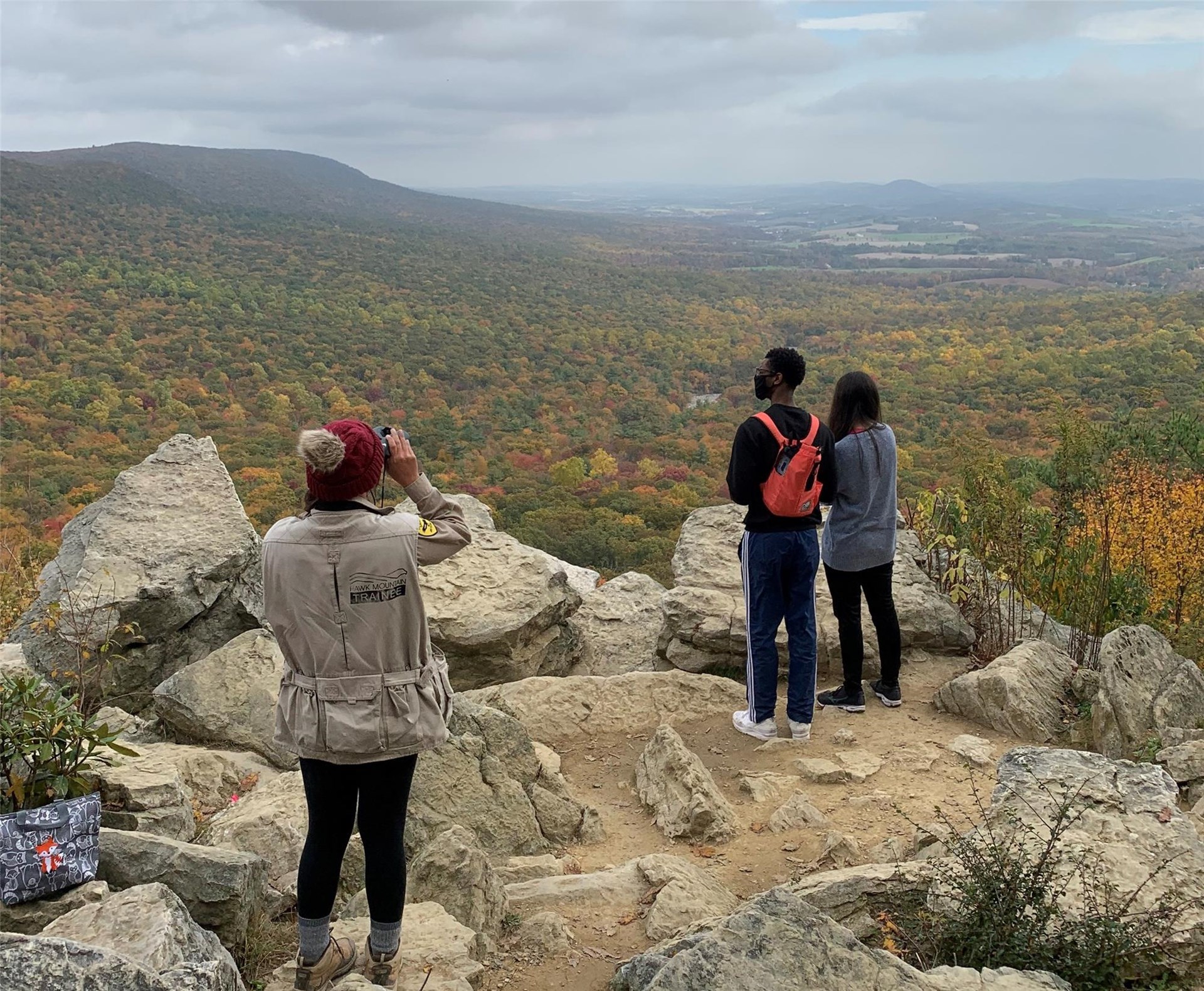 IDEA at Hawk Mountain | Hawk Mountain Sanctuary: Learn Visit Join