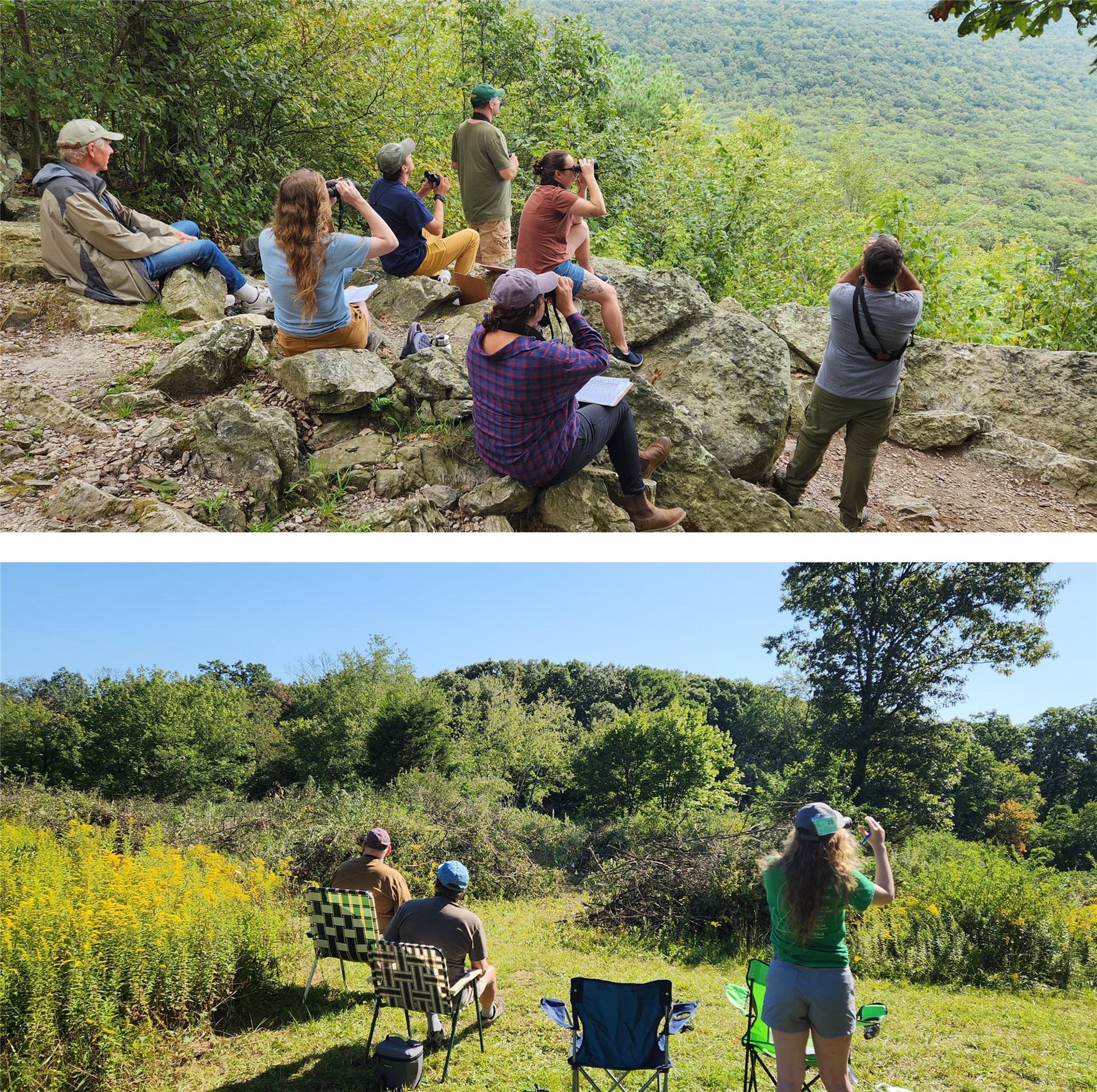 Hawk Mountain Coordinates Kittatinny Hawkwatch Project | Hawk Mountain ...